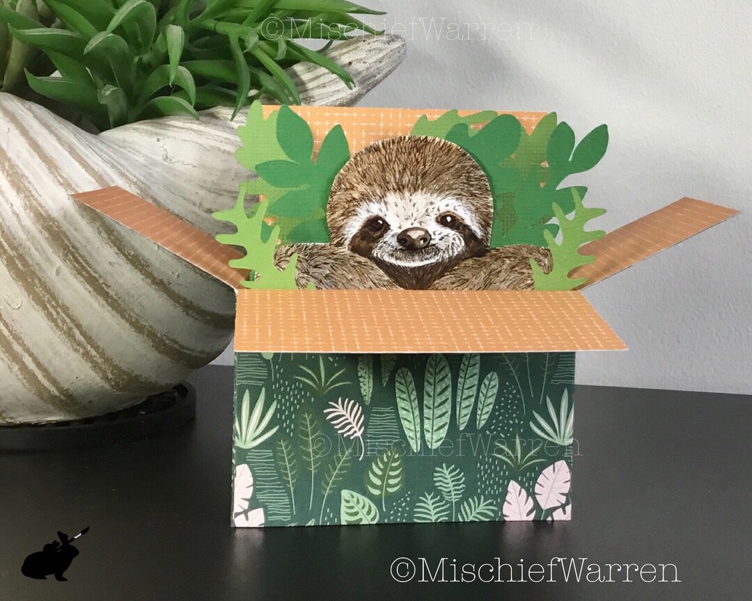 Sloth in a Box Card. Blank or Personalised Birthday Easter - Etsy