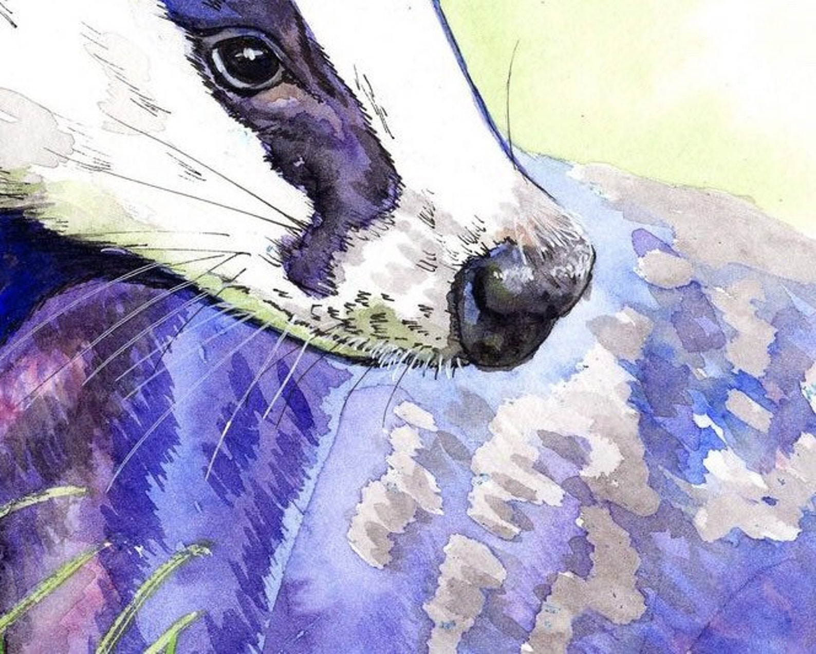 Badger Art Print From My Watercolour Painting. British - Etsy