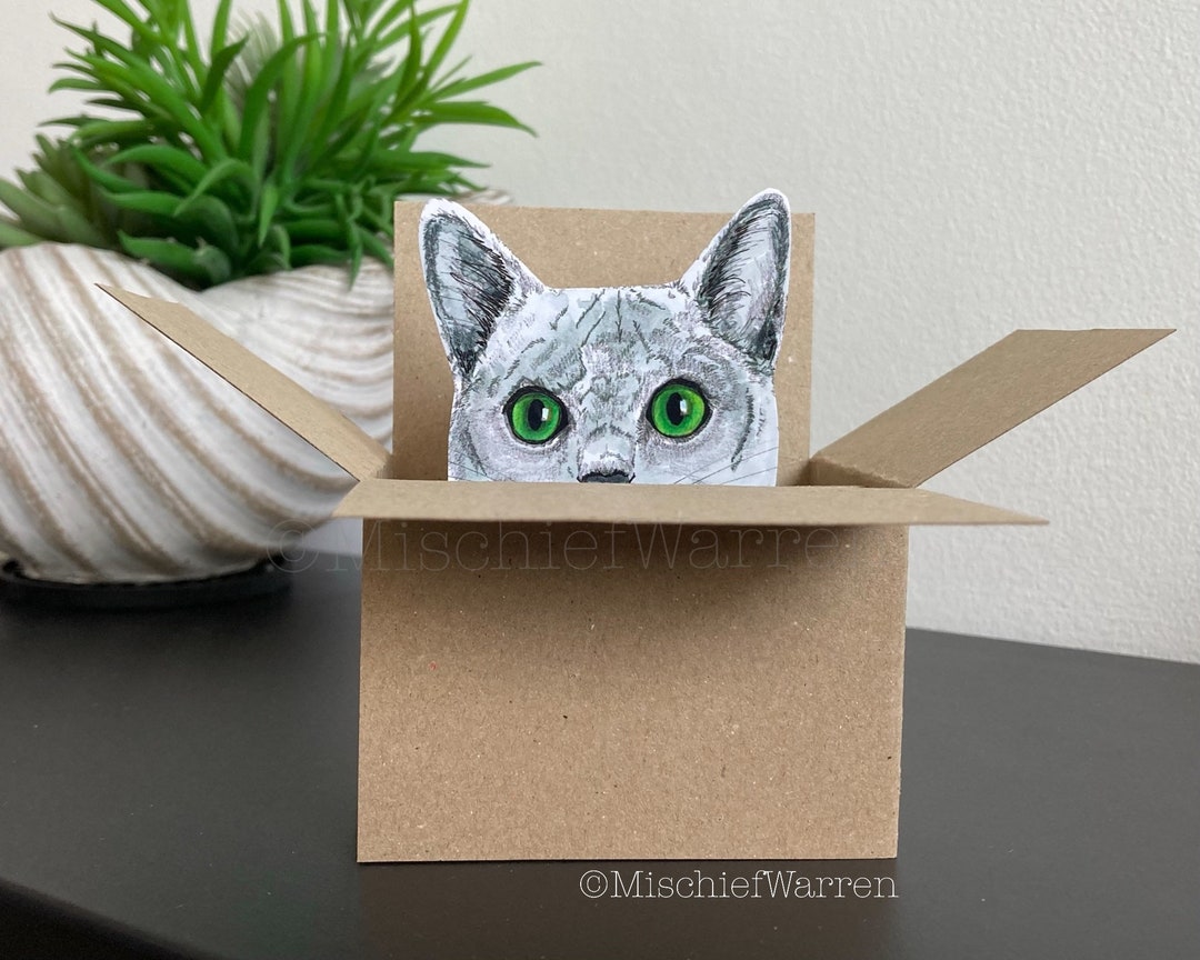 Grey White Cat Box Card. the Original Cat in a Box Card. Personalised ...