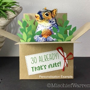 Squirrel Card. Personalised 3D Box Card For; Birthday, Mothers or ...