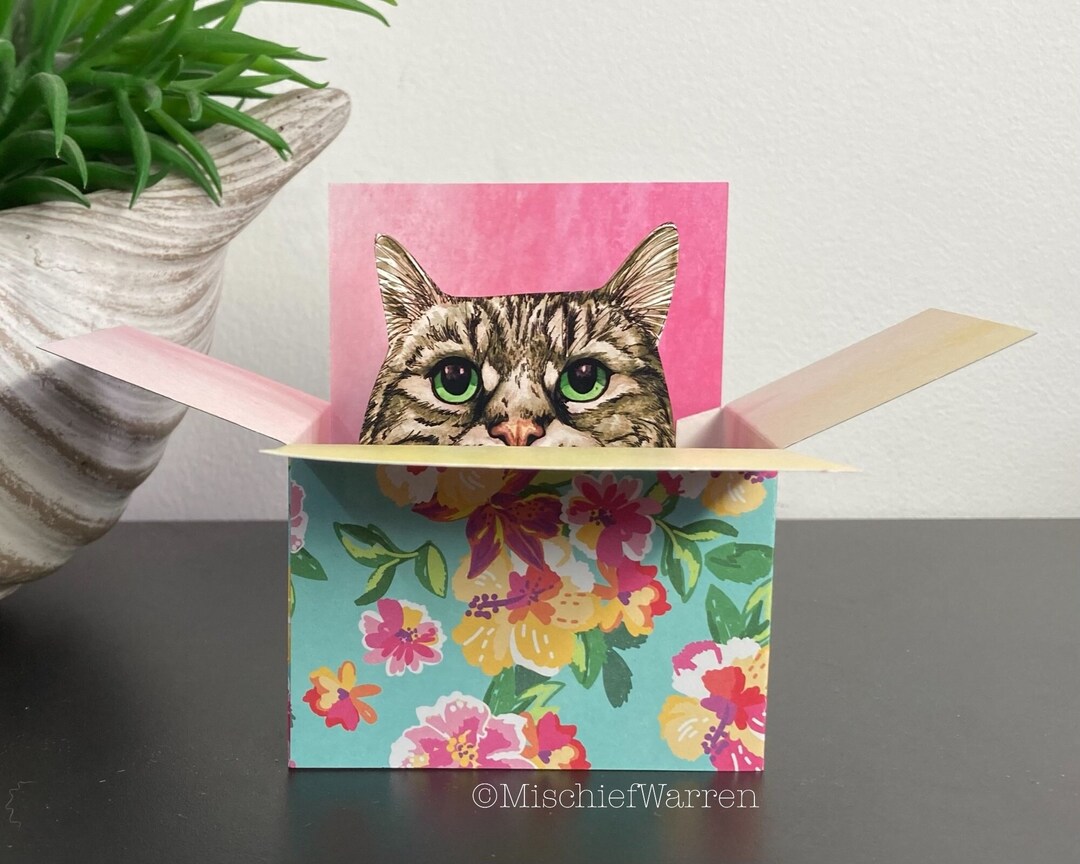 Tabby Cat Card. the Original Cat in a Box Card. Personalised 3D ...