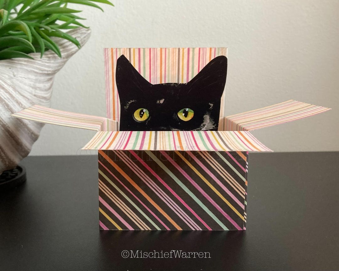 Black Cat Card. the Original Cat in a Box Card. 3D Blank or ...