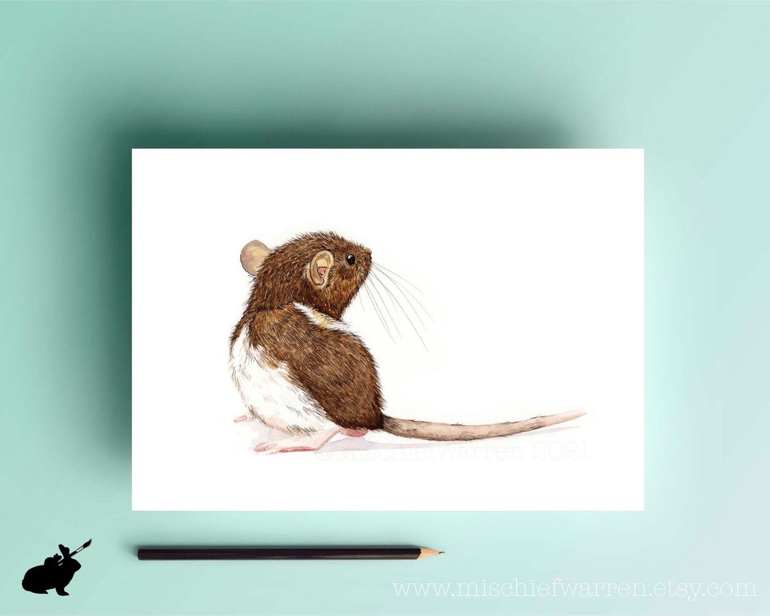 Brown White Fancy Rat Art Print From My Watercolour Painting. Picture ...