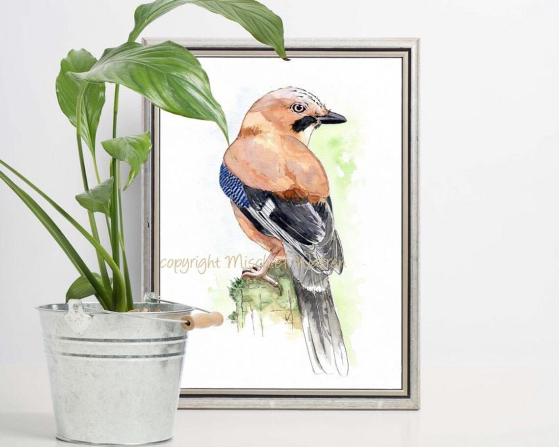 Eurasian Jay Watercolour Art Print From My Painting. British | Etsy