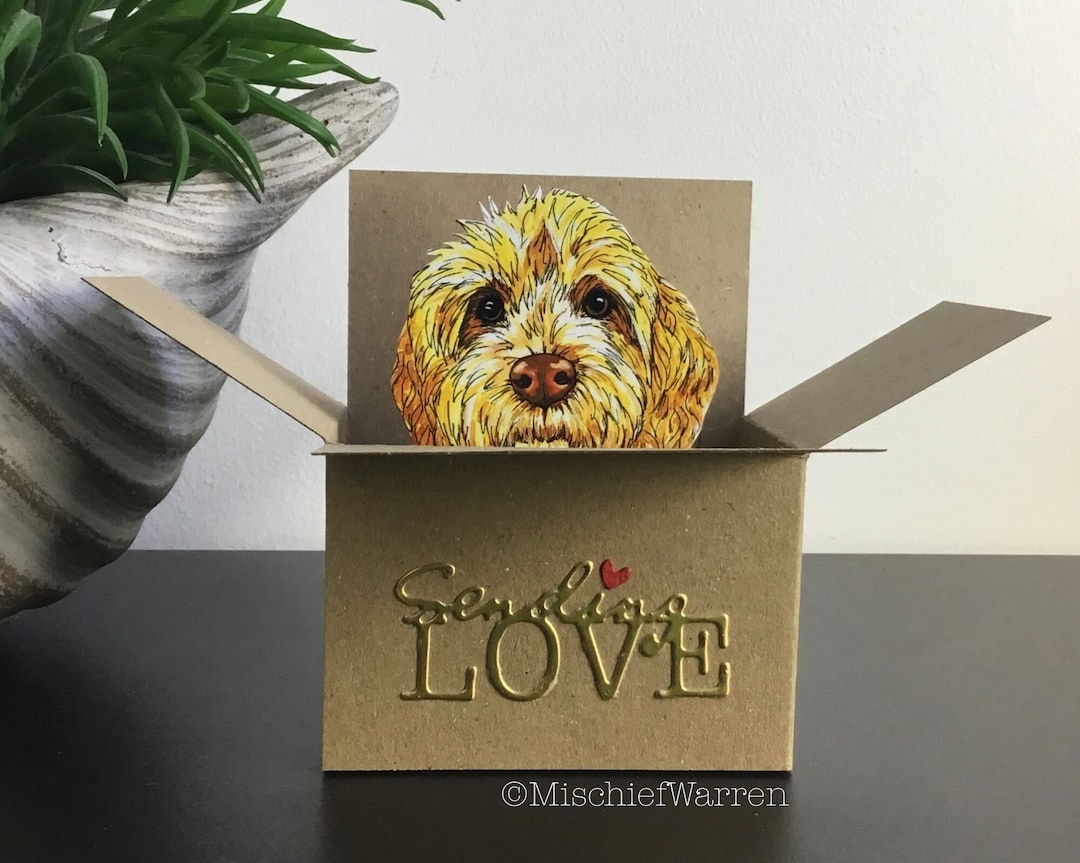 Gold Cockapoo 3D Box Card. Birthday, Mothers Day, Fathers Day, Thank ...