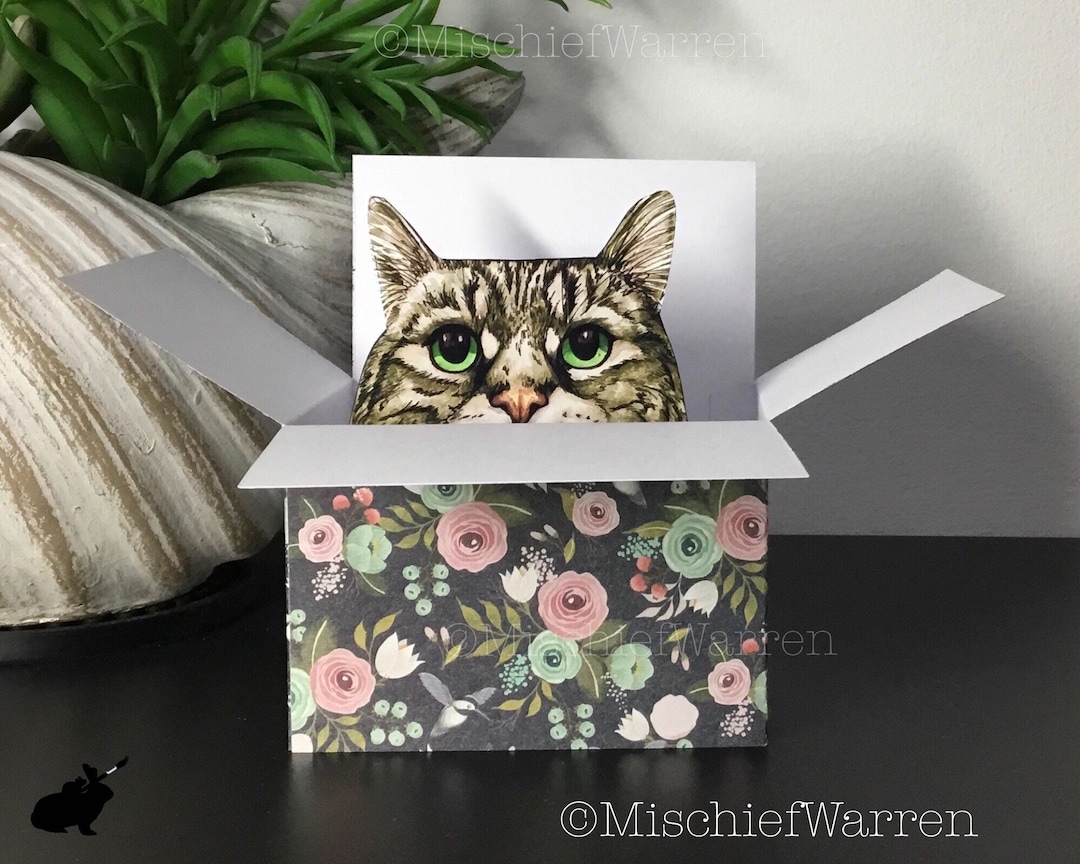 Tabby Cat Card. the Original Cat in a Box Card. Personalised - Etsy