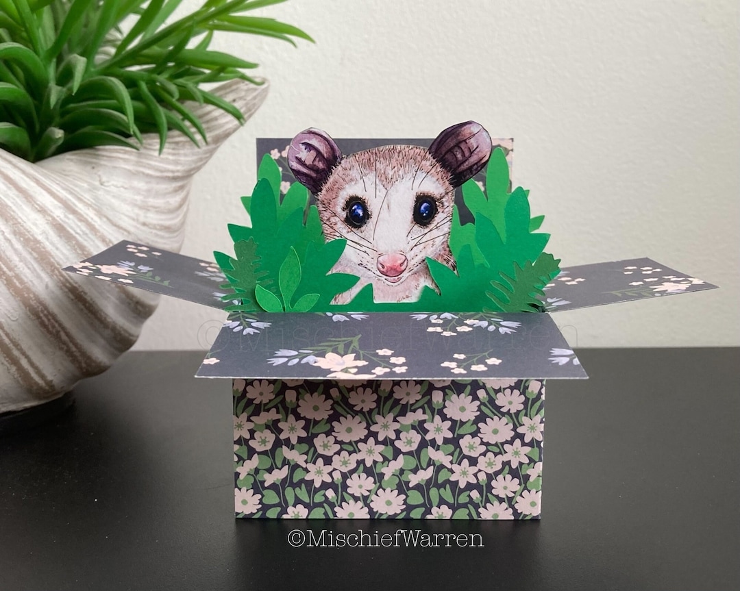 Opossum Card. 3D Box Card Blank or Personalised; Birthday Thank You ...