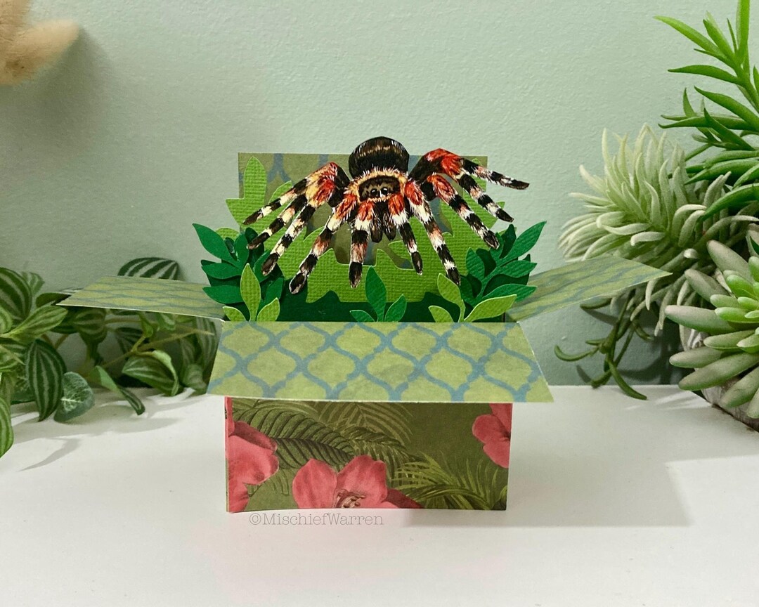 Tarantula Spider Card; Blank or Personalised. 3D Mexican Red Knee Gift ...