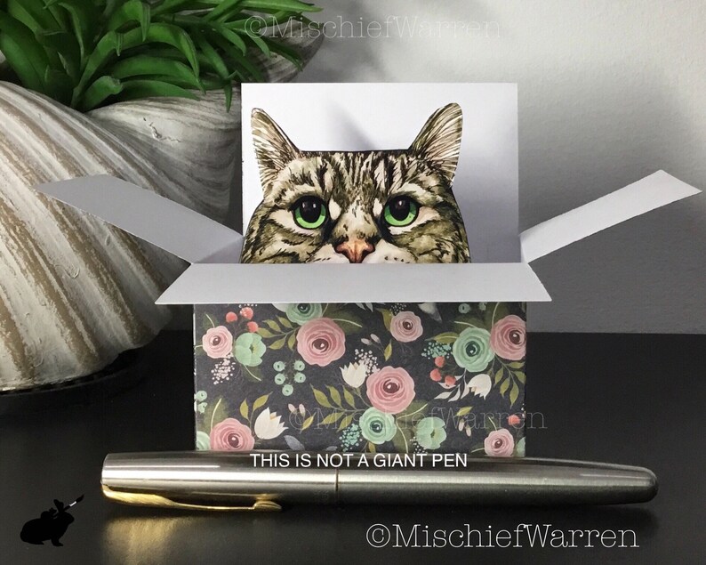 Tabby Cat Card. the Original Cat in a Box Card. Personalised - Etsy