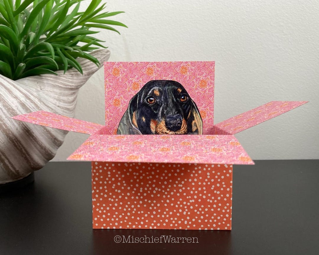 Dachshund Dog Card. 3D Dachshund Box Card for Any Occasion; Birthday ...