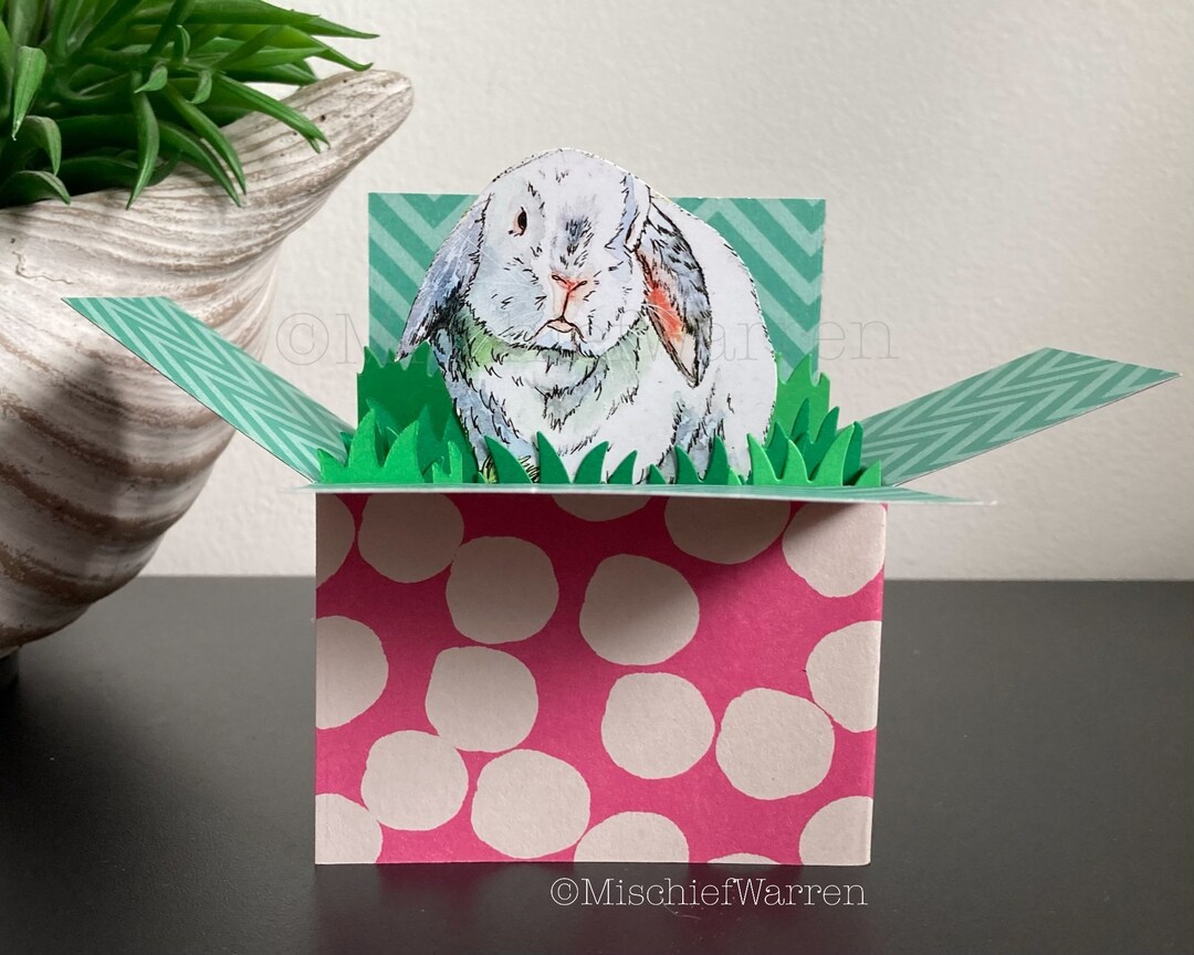 Dwarf Lop Rabbit Card. 3D Box Card for Bunny Lover. Blank or ...