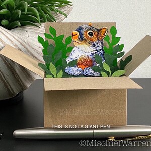Squirrel Card. Personalised 3D Box Card For; Birthday, Mothers or ...