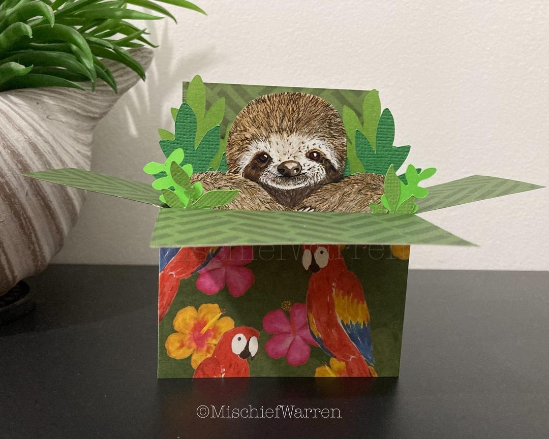 Sloth Card. 3D Sloth in a Box Card. Blank or Personalised. Sloth ...