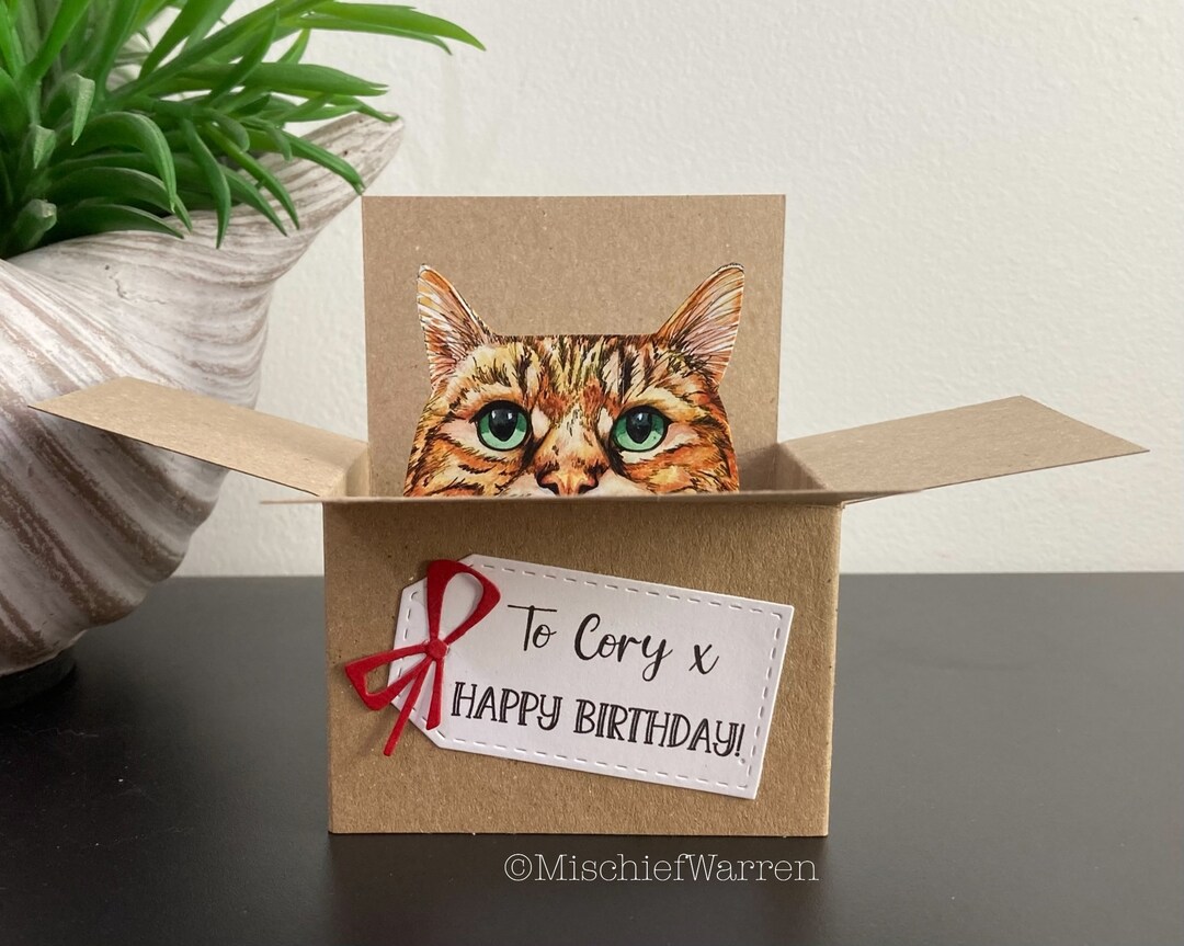 Brown Tabby Cat Card. the Original Cat in a Box Card. Personalised ...
