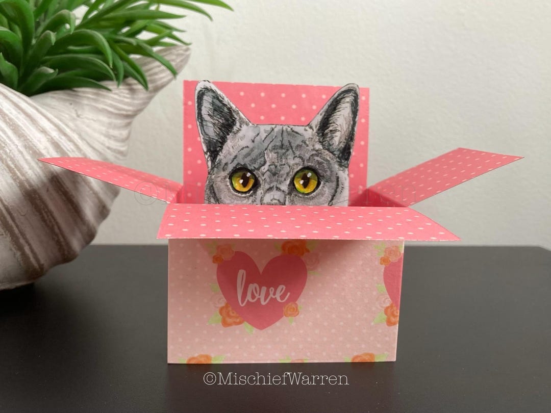 Personalised Grey Cat Card. Sending Love, 3D Gift Card Holder for Cat ...