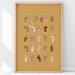 Alphabet Sign Language Art Print Diverse Language Skin Tones Colorful ...