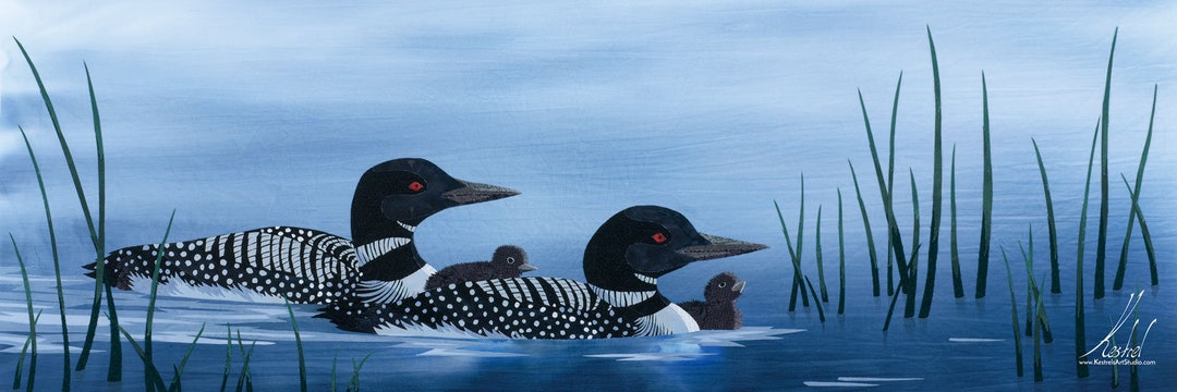 Family of Loons « Wall Print | Decal, Wall Sticker, Fine Art Print ...