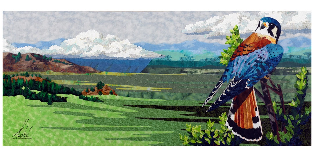American Kestrel « Wall Print | Decal, Wall Sticker, Fine Art Print ...