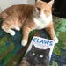 Cat Book Claws. Confessions of A Cat Groomer - Etsy