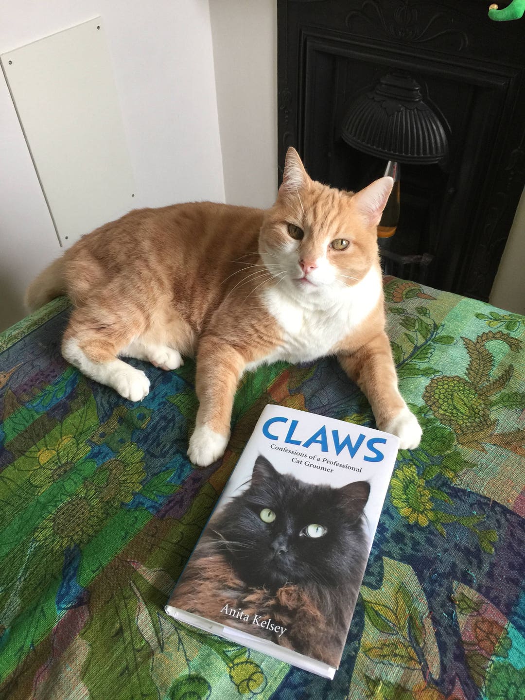 Cat Book Claws. Confessions of A Cat Groomer - Etsy