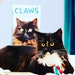 Cat Book Claws. Confessions of A Cat Groomer - Etsy