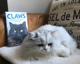 Cat Book Claws. Confessions of A Cat Groomer - Etsy