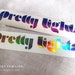 2023 NEW Logo!!! PL Pretty Lights Holographic Car Decal Vinyl EDM ...