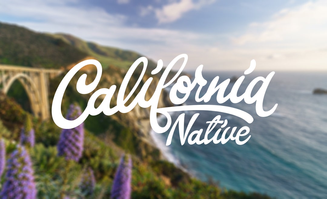 California State Decal Native | Native State Sticker | Home State Decal ...