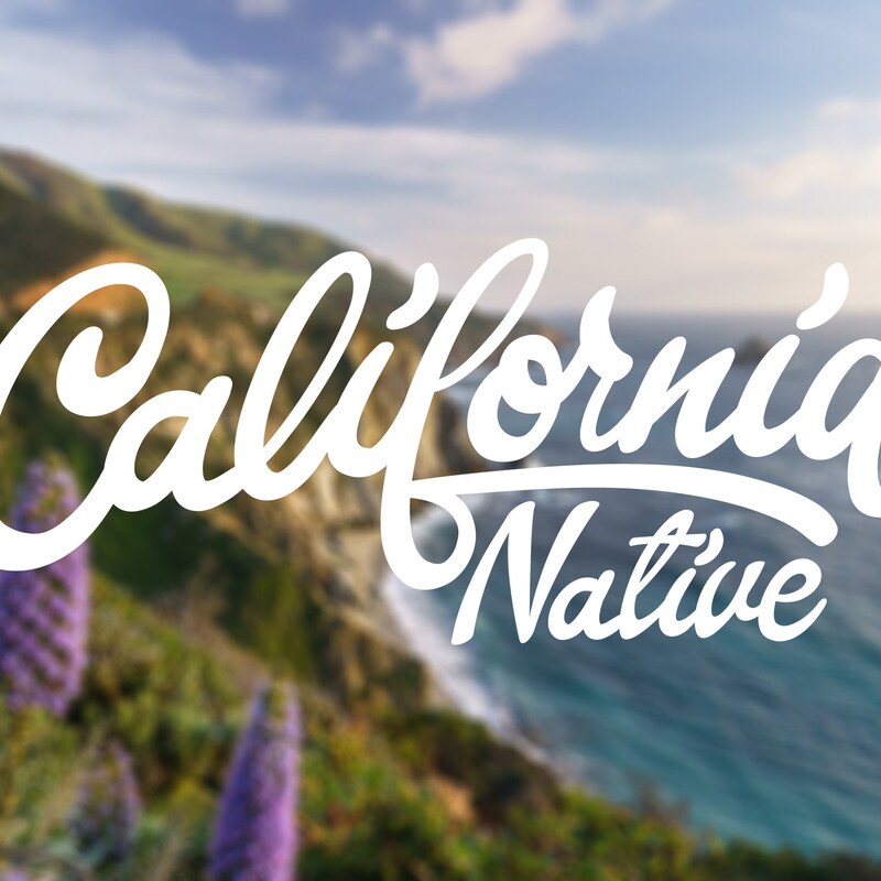 California Decal - Etsy