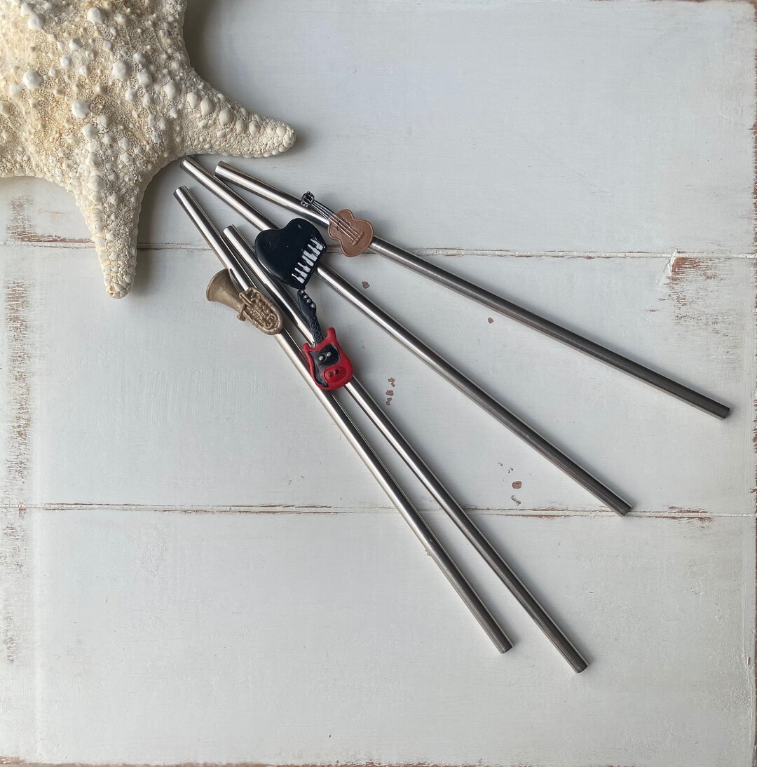 Musical Instrument Reusable Straws Stainless Steel Metal, Unique Gift ...