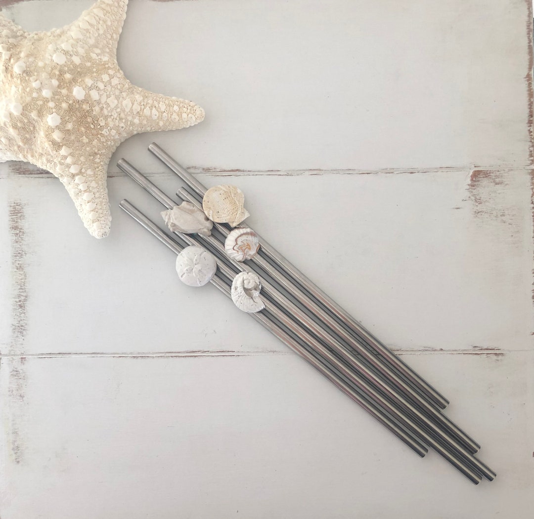Sea Shell Reusable Straw Stainless Steel Metal, Unique Gift for Beach ...