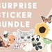 SURPRISE STICKER BUNDLE Waterproof Stickers Big Random Pack - Etsy