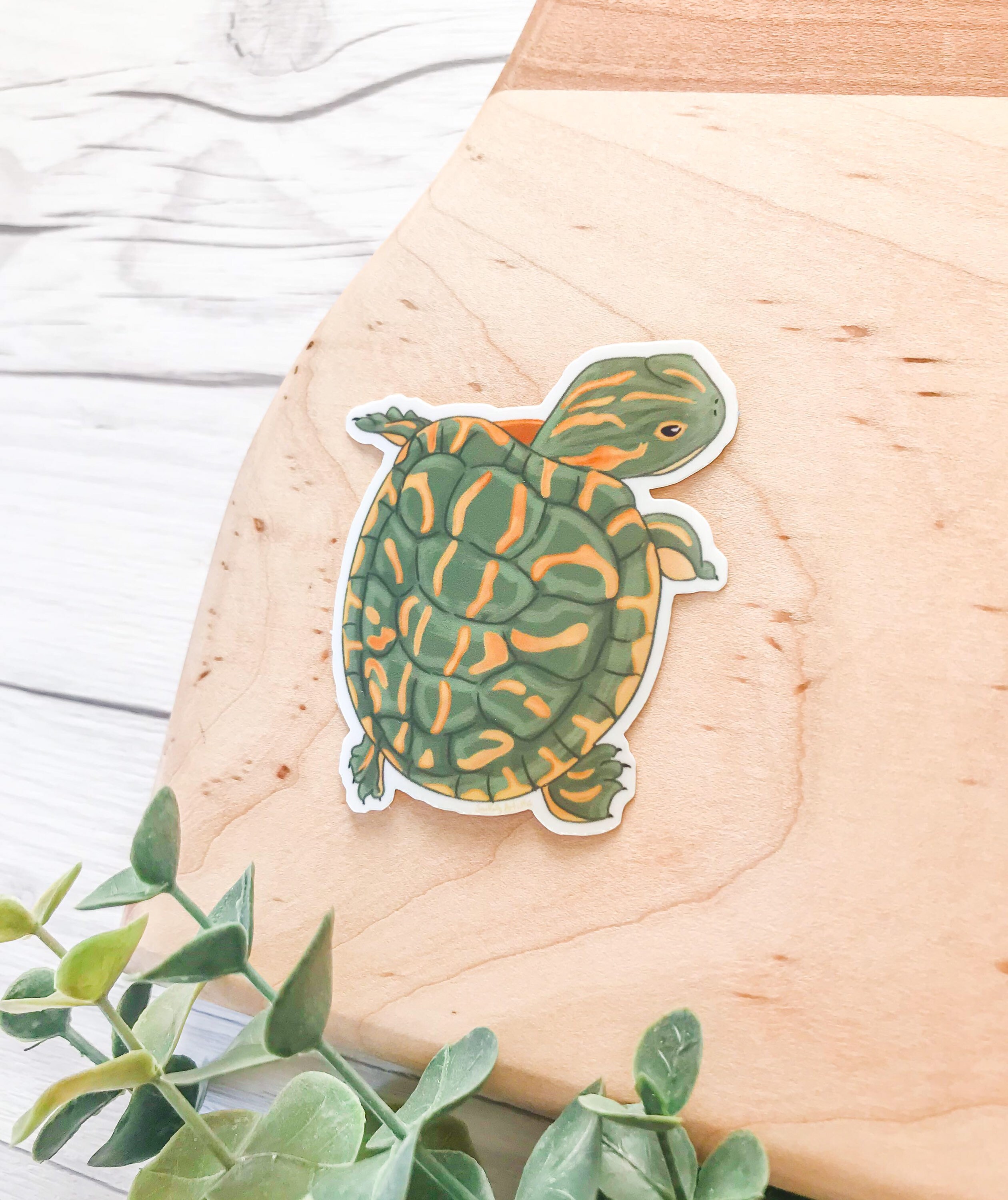 Baby Painter, TURTLE STICKER • Waterproof Stickers, Fishing Stickers ...