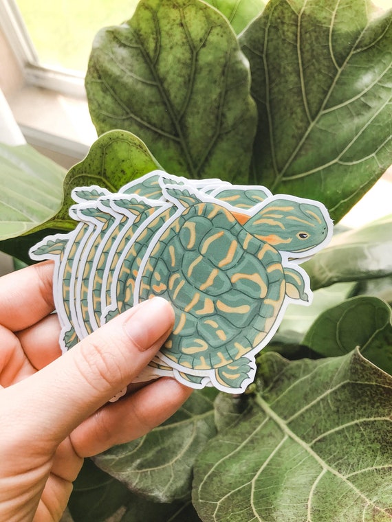 Baby Painter TURTLE STICKER Waterproof Stickers Baby - Etsy