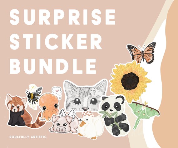 SURPRISE STICKER BUNDLE Waterproof Stickers Big Random Pack - Etsy