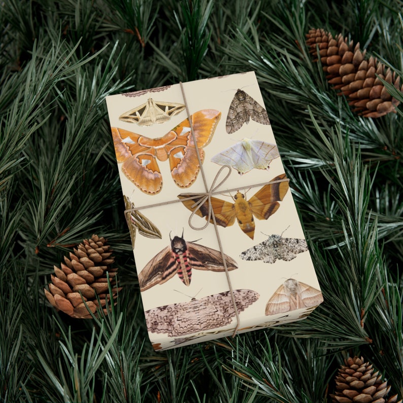 Lepidoptera Moth Wrapping Paper for All Occasions, Green Academia Gift ...