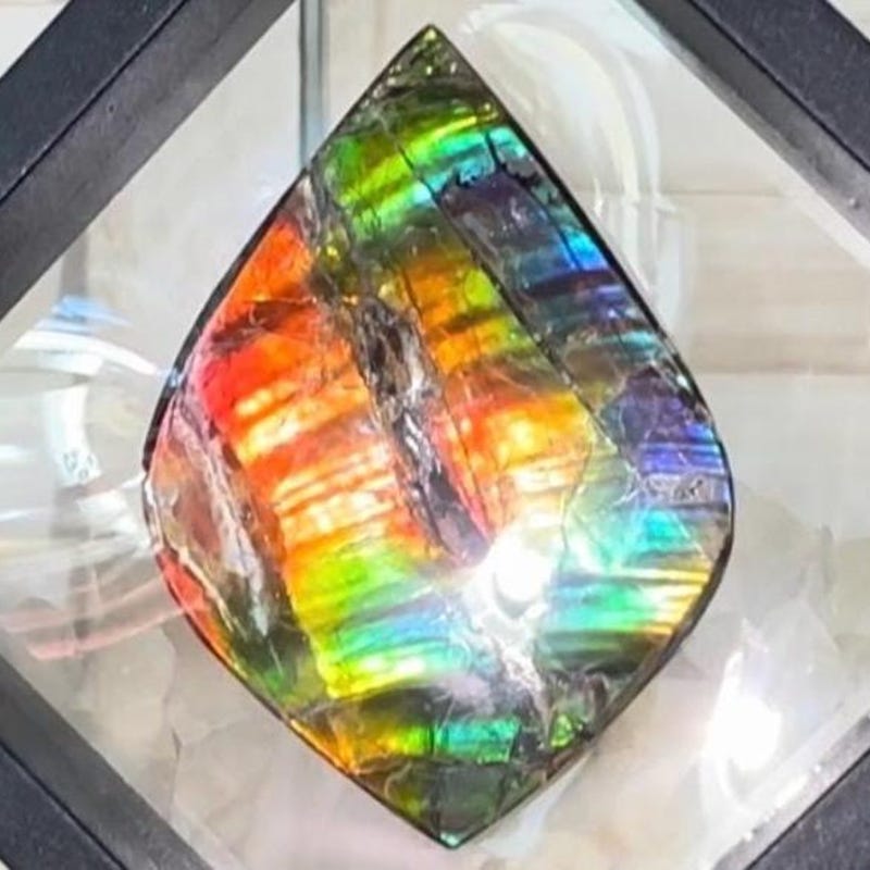 Canadian Ammolite - Etsy