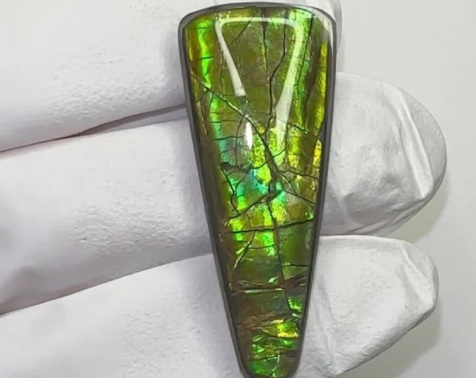 Loose Stone, Ammolite,freeform,display, Cabochon 37x15.5mm, Loose ...