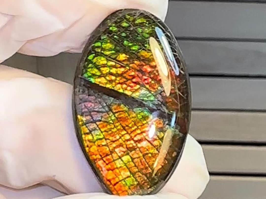 Loose Stone, Ammolite,freeform, Cabochon 30x18mm, Loose Gemstone ...