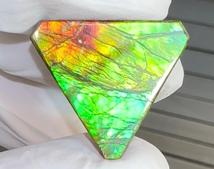 Ammolite,natural Hand POLISHED, Loose Stone 24mm Loose Gemstone,alberta ...