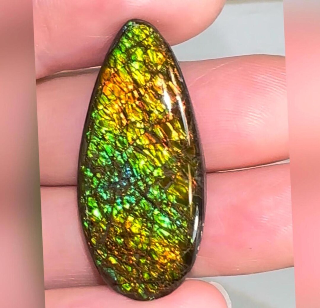 Loose Stone, Ammolite,freeform, Cabochon 34.5x16.5mm, Loose Gemstone ...