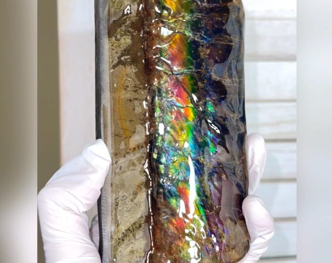 5.55"long, Rainbow Baculite in Matrix Ammolite,handheld Specimen,rare ...