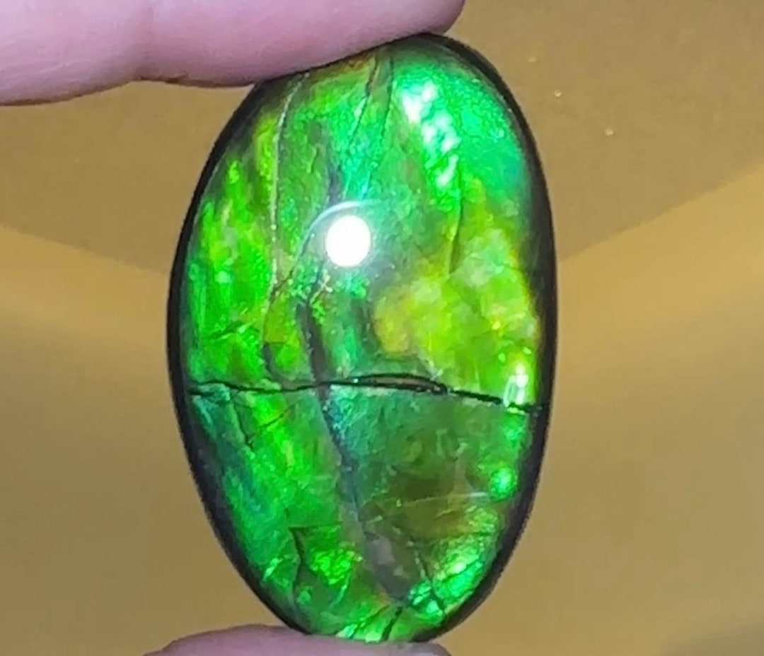 Loose Stone Ammolitefreeform Cabochon 46x28.5mm Loose - Etsy