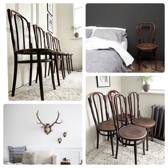 Oak bentwood chairs store