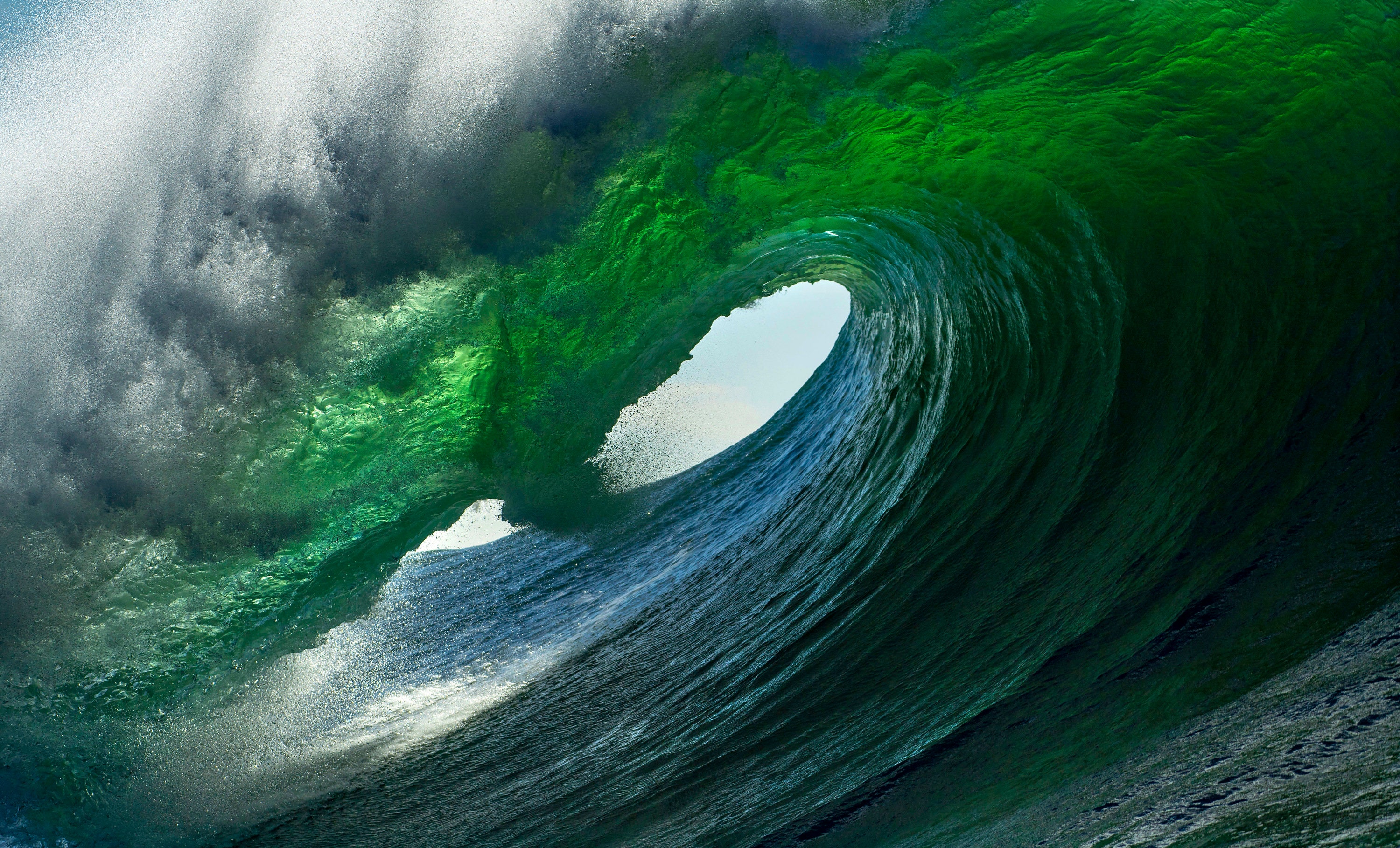 Prints for Direct Relief - Etsy