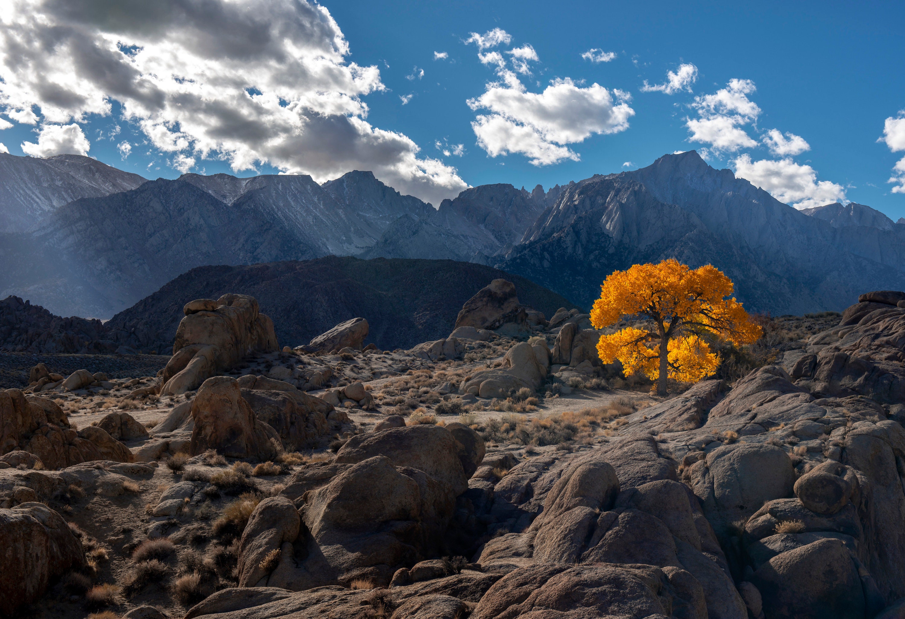 Prints for Direct Relief - Etsy