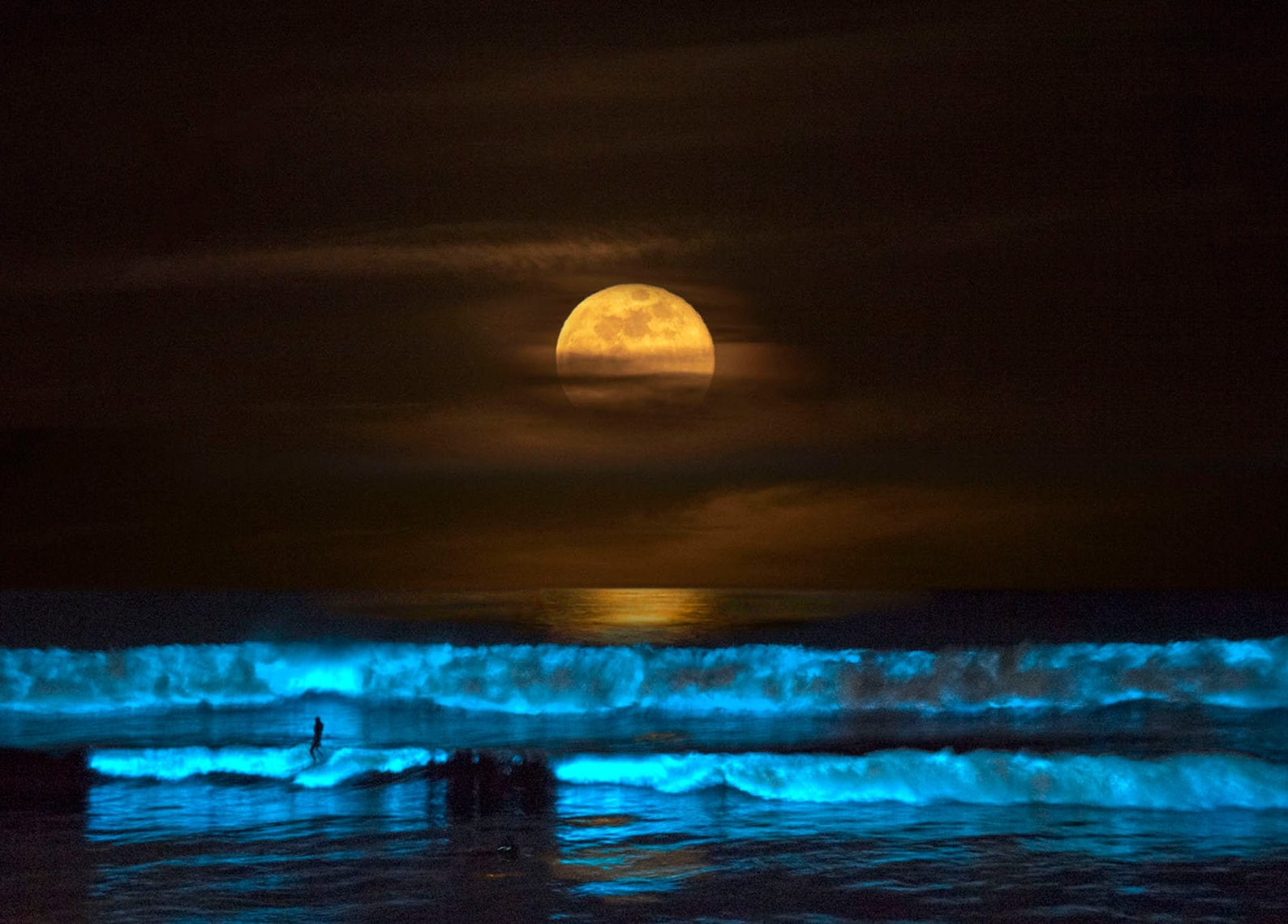 Bioluminescent Full Moon Surf - Etsy