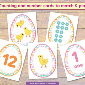 Spring-themed Matching Cards: Colors, Numbers & Sizes | Educational ...