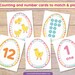 Spring-themed Matching Cards: Colors, Numbers & Sizes Educational Game ...