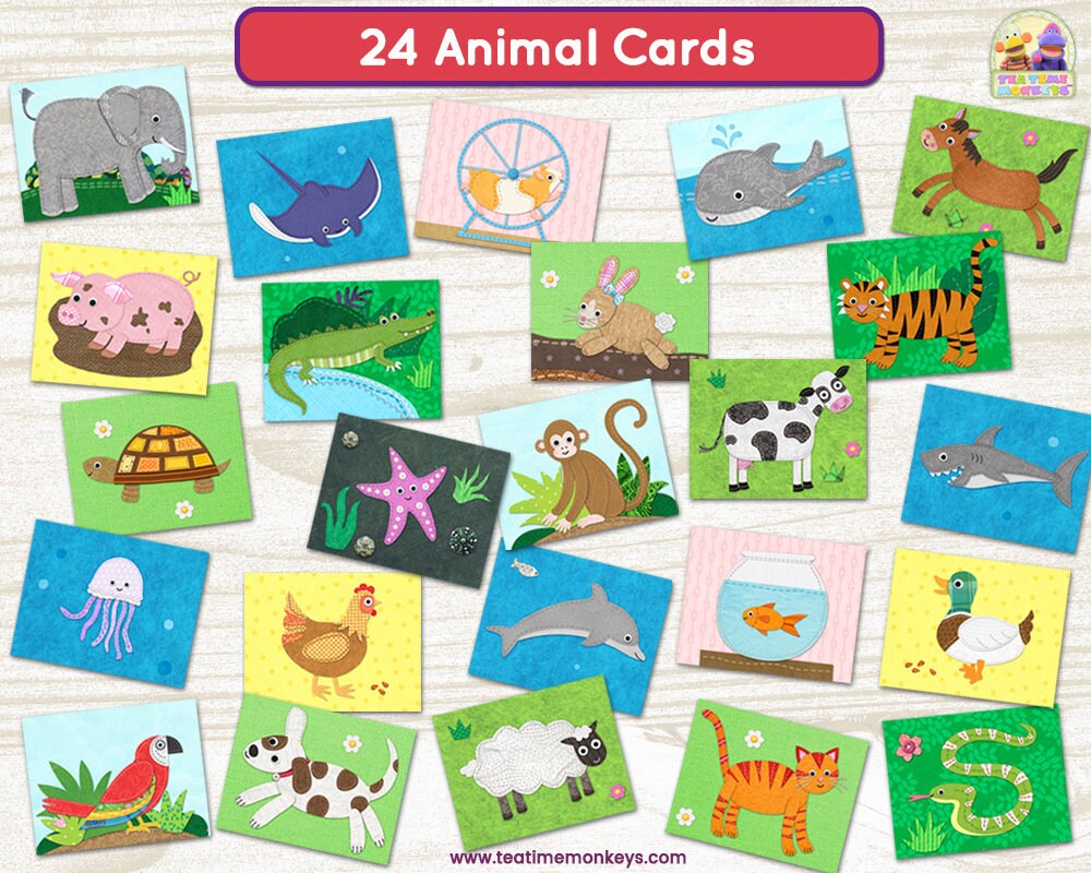 JUEGO DE CLASIFICACIÓN DE ANIMALES Encuentra mi hogar - Etsy España